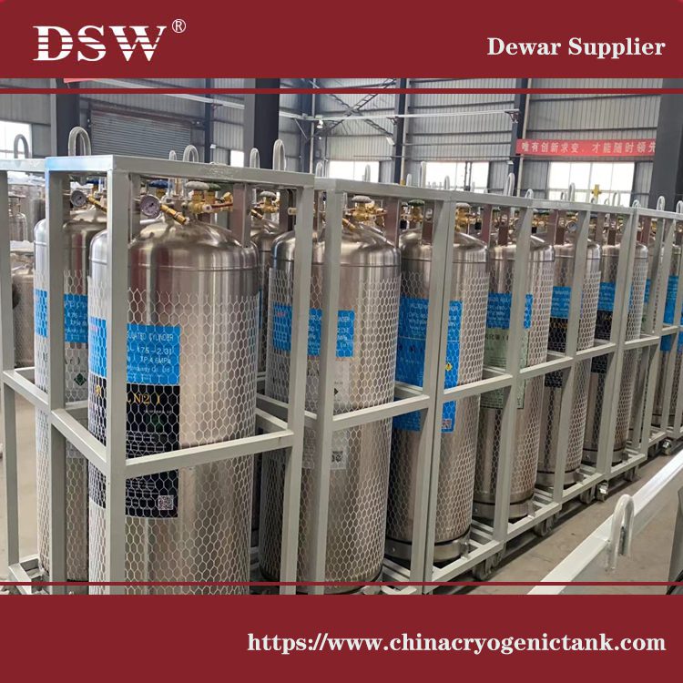 Liquid ln2 dewar suppliers, liquid nitrogen dewars | DSW